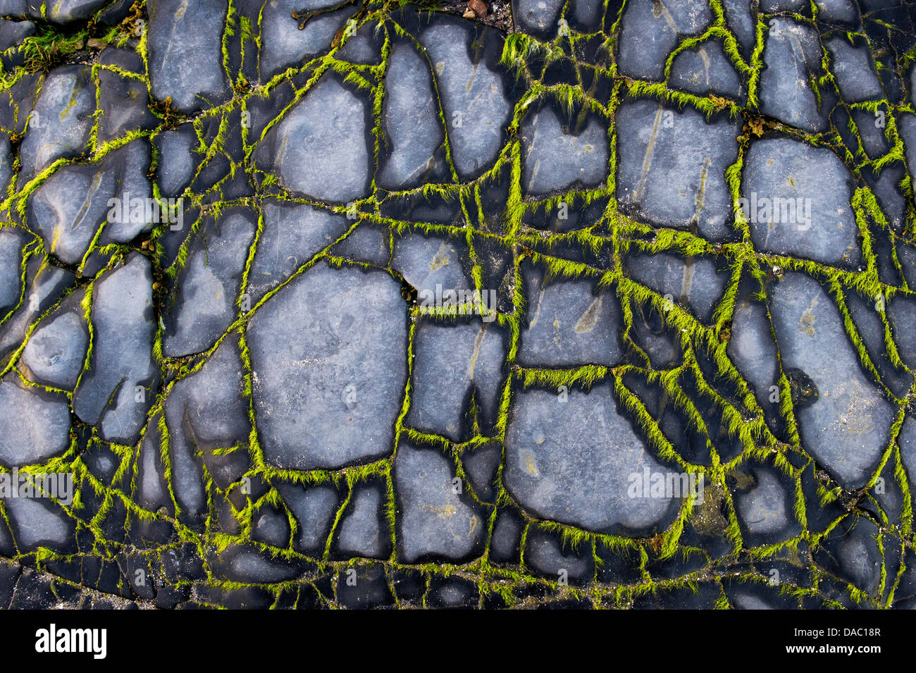 Rock weathering pattern hi-res stock photography and images - Alamy