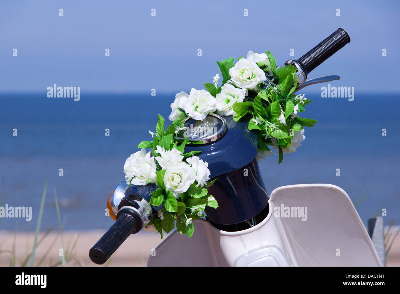 Motorcycle flowers hi-res stock photography and images - Alamy