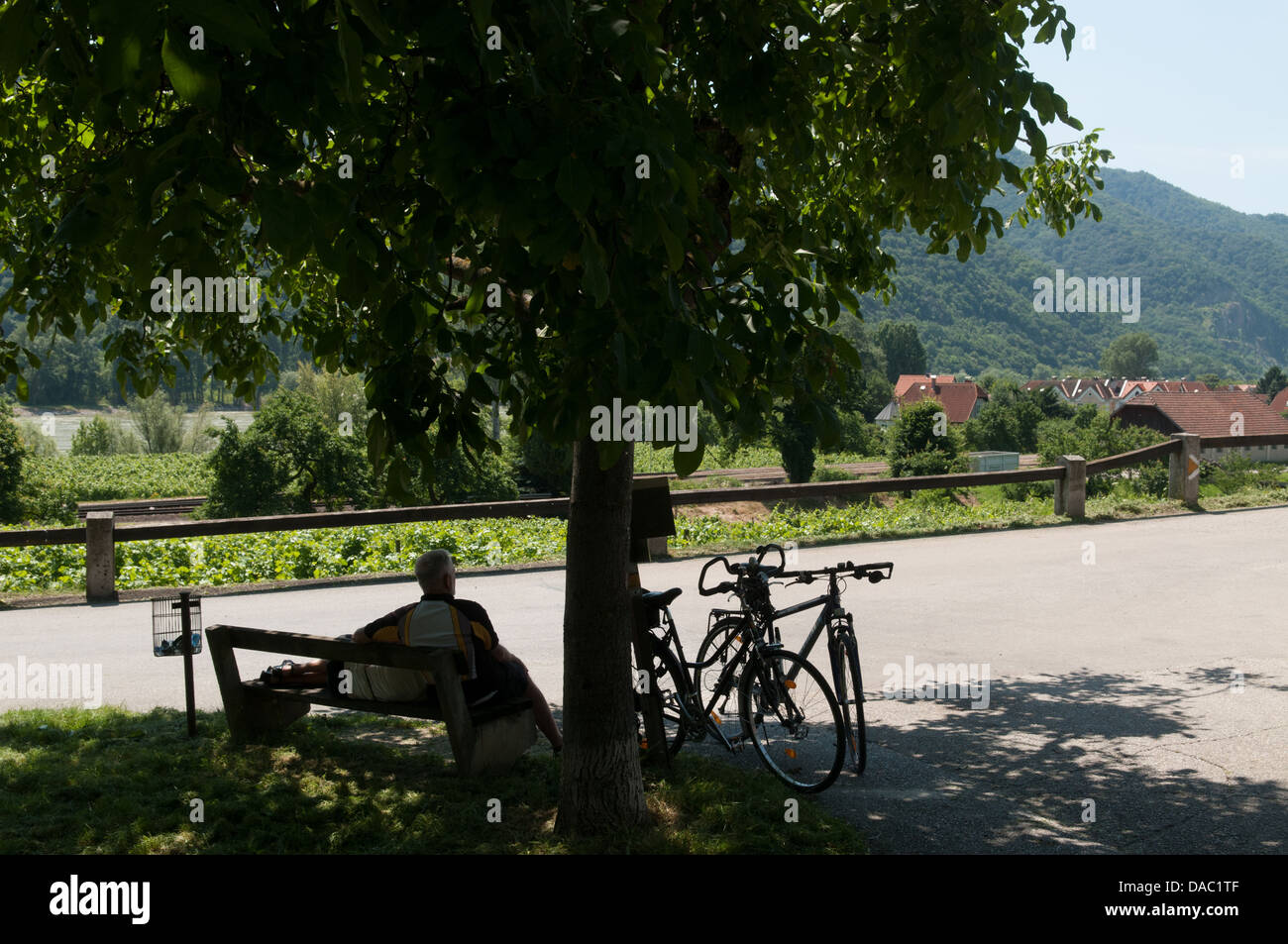 Travellers resting under tree hi-res stock photography and images - Alamy