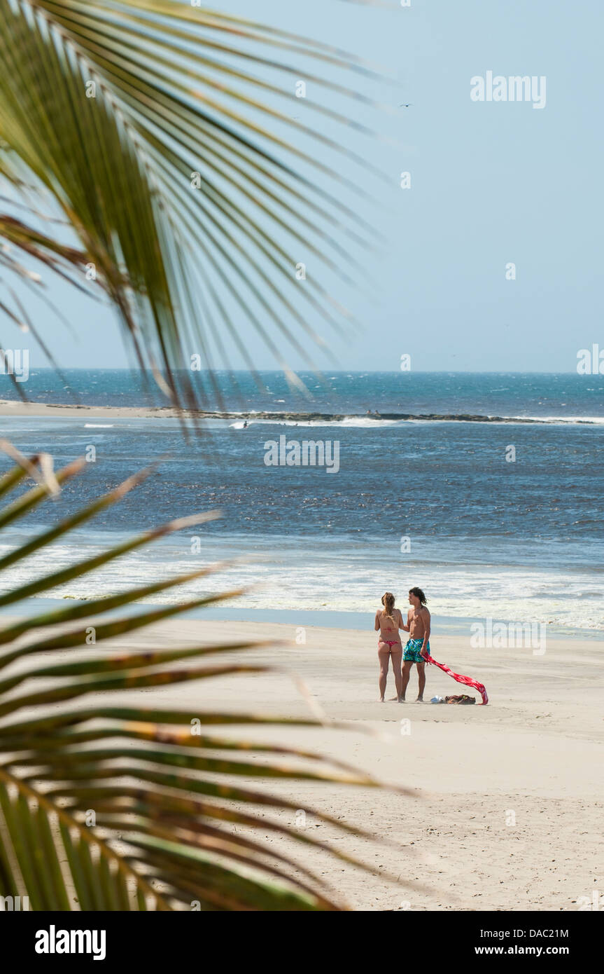 Couple palm branches on Los Organos Beach near Mancora, Peru Stock ...