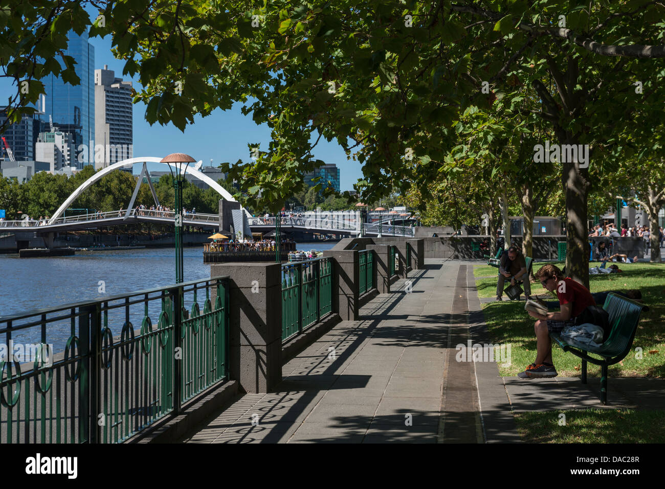 Man Reading a Book in the Shade of the Trees along Southbank Promenade ...