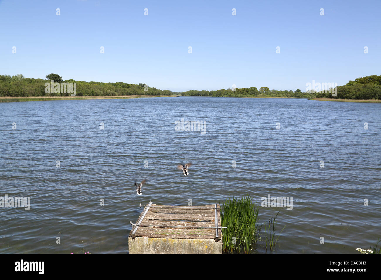 Ormsby hi-res stock photography and images - Alamy