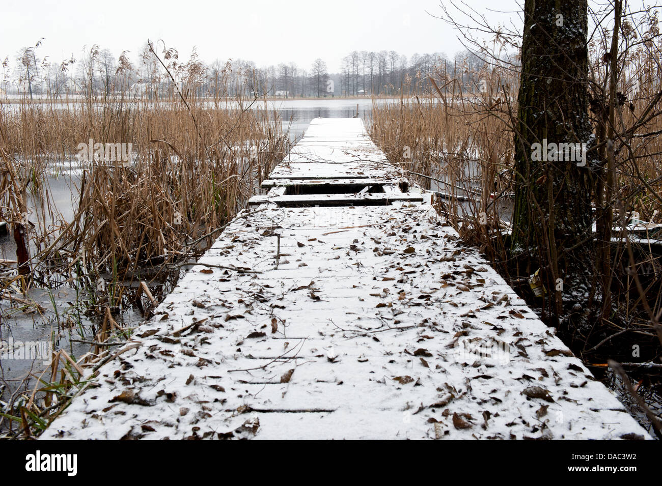 Wigry National Park High Resolution Stock Photography and Images - Alamy