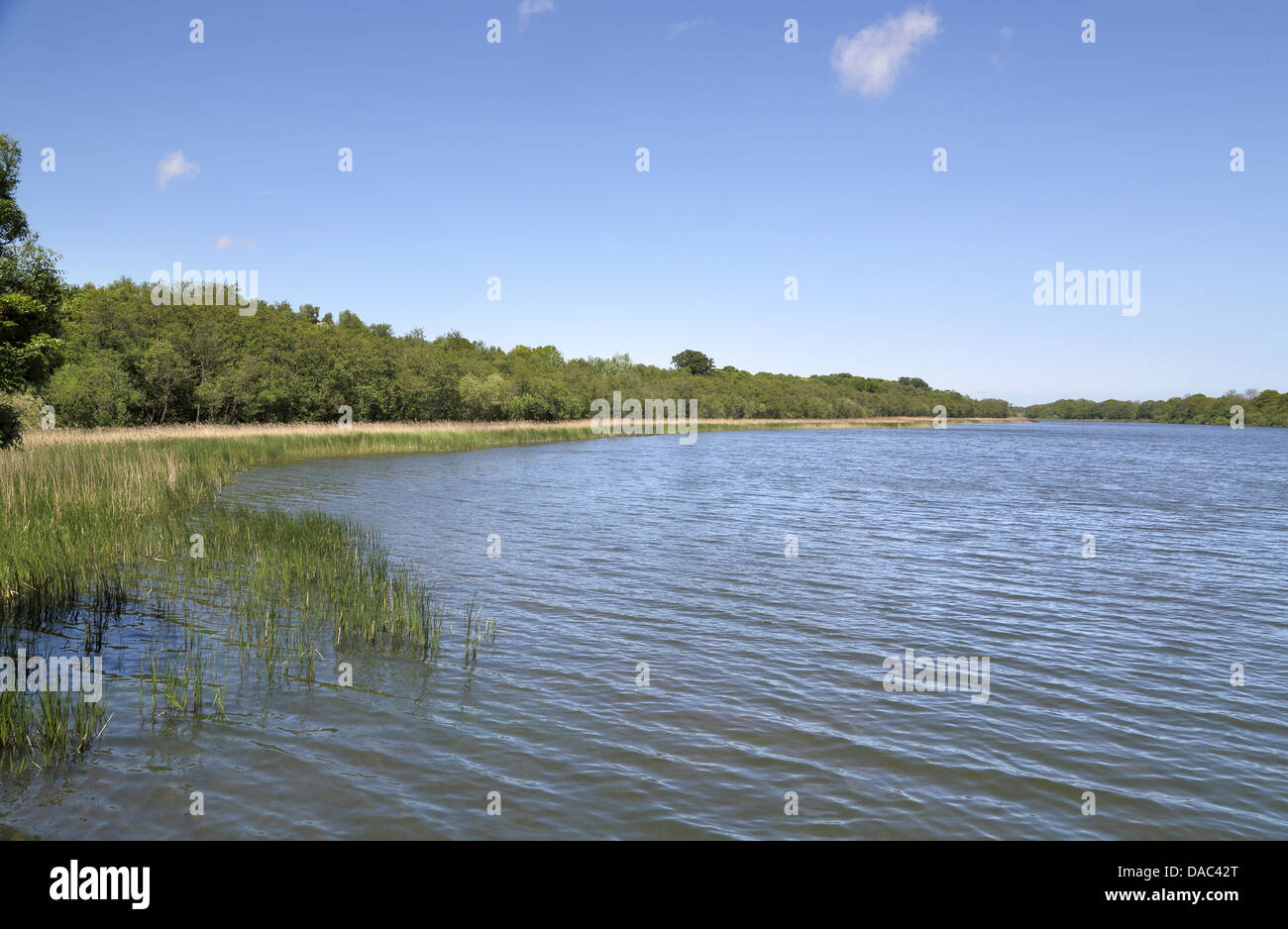 Ormsby hi-res stock photography and images - Alamy