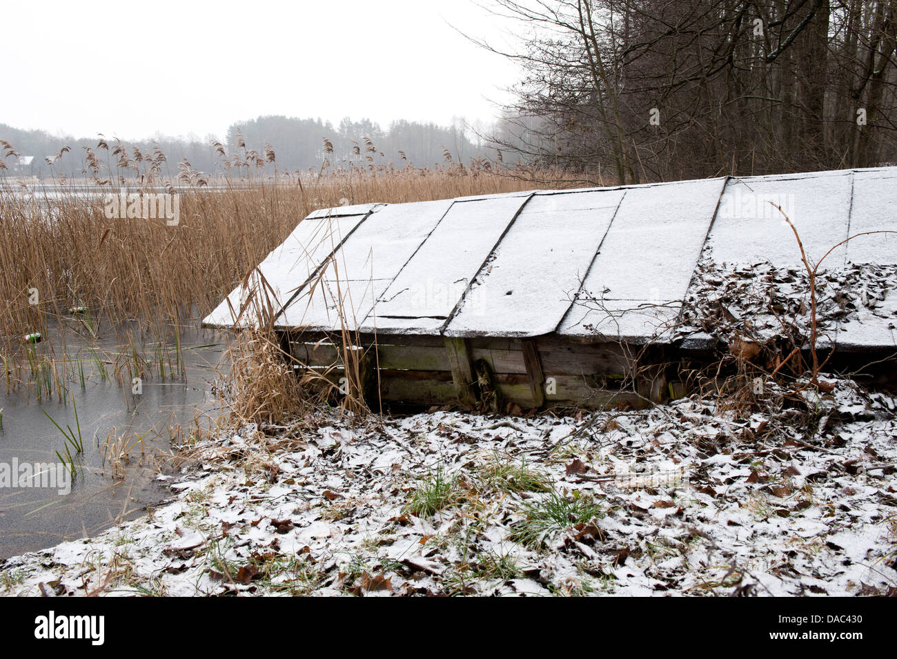 Wigry Lake, Poland Stock Photo - Alamy