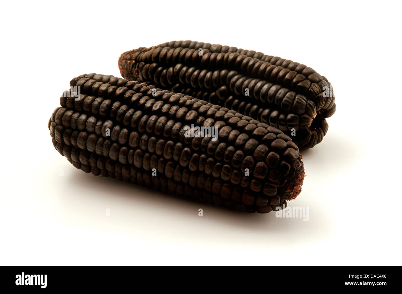 White corn kernels maize Cut Out Stock Images & Pictures - Alamy