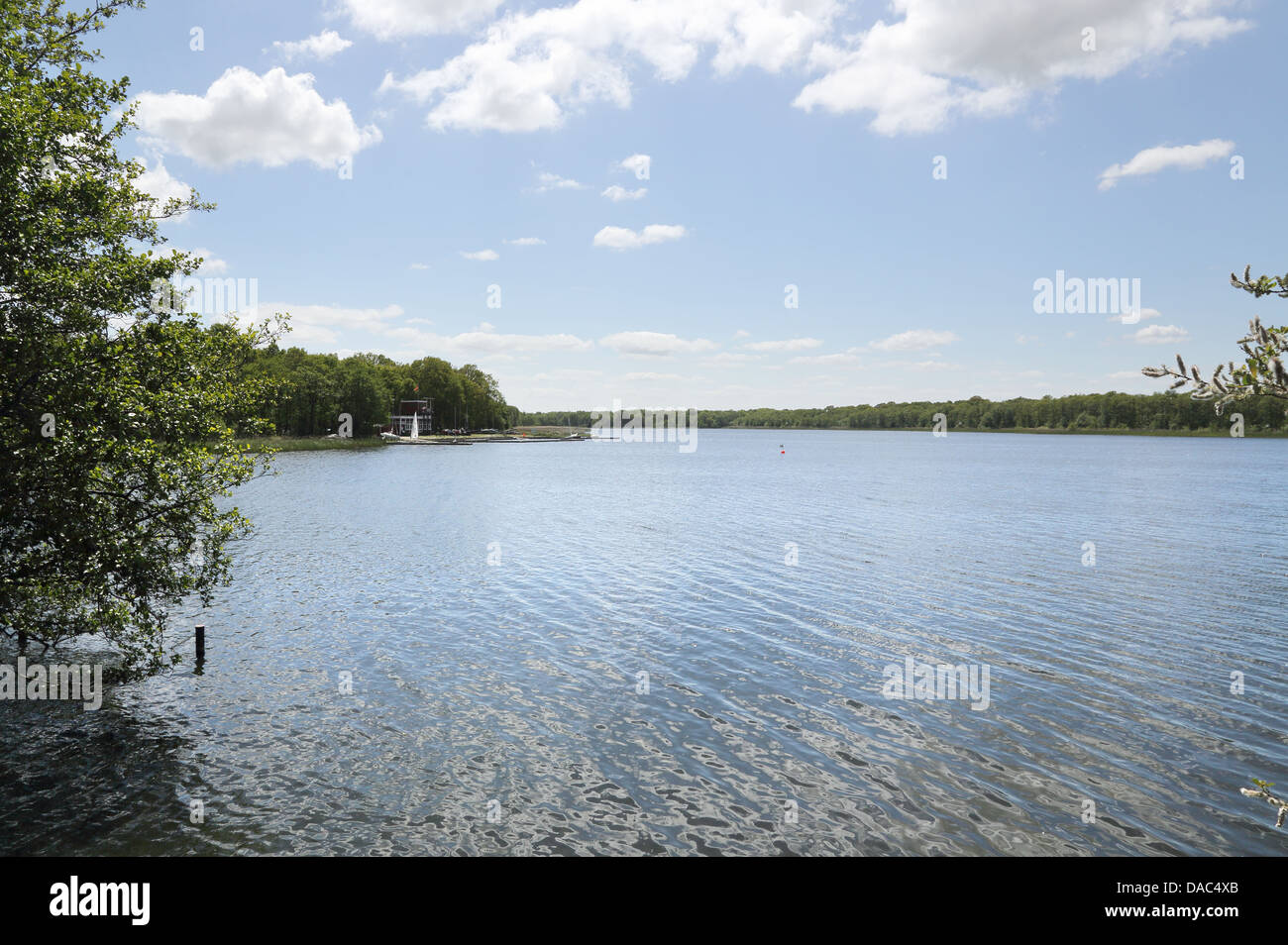 Rollesby broad hi-res stock photography and images - Alamy