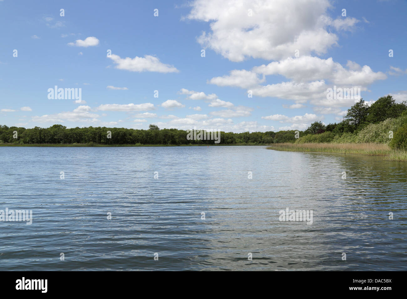 Rollesby broad norfolk hi-res stock photography and images - Alamy