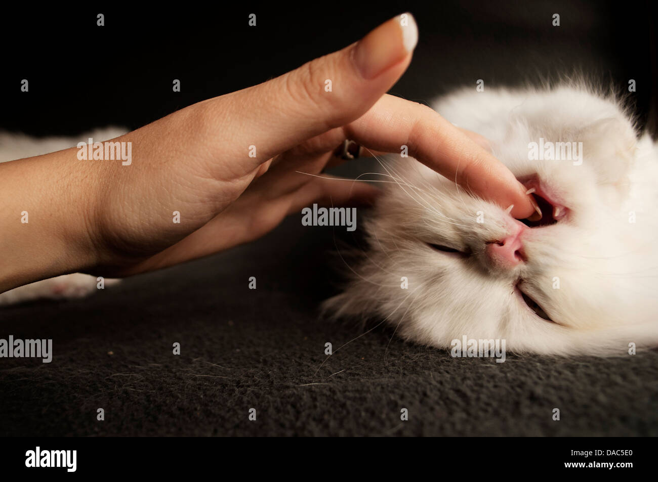 Finger biting hi-res stock photography and images - Alamy