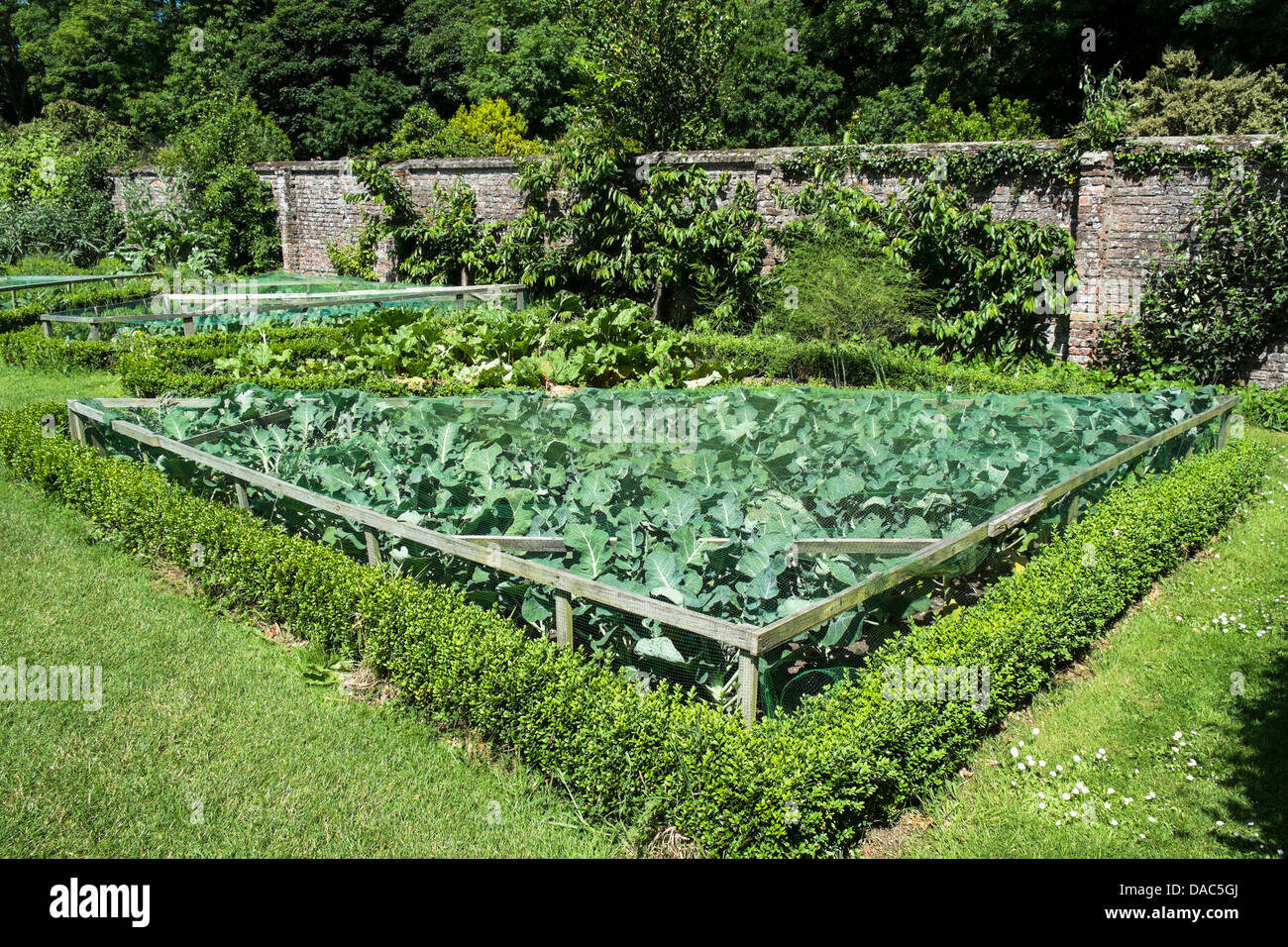 Victorian kitchen garden hi-res stock photography and images - Alamy