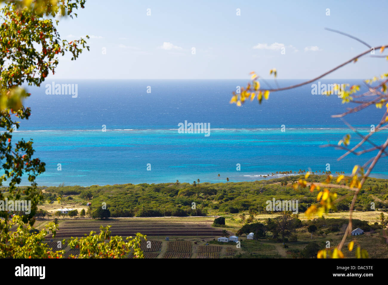 Cades reef antigua hi-res stock photography and images - Alamy