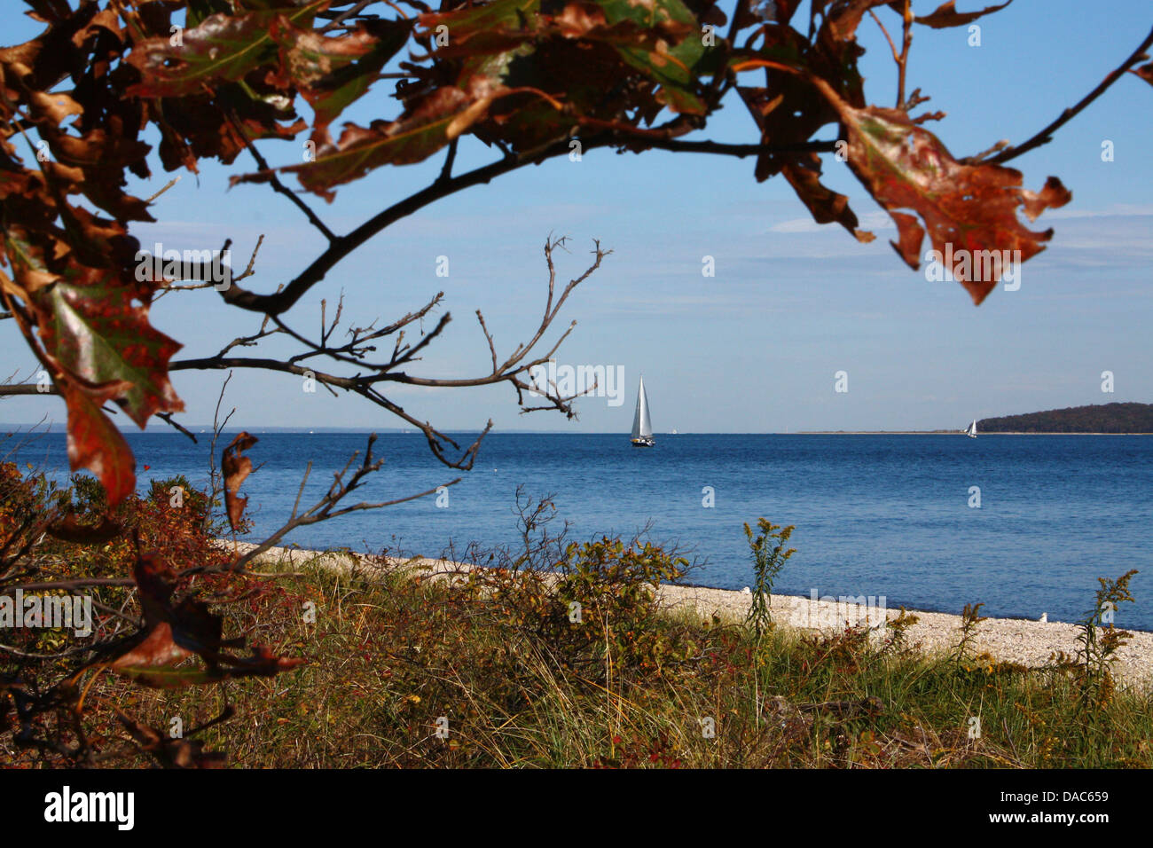 Huntington Bay Sailboat Stock Photo - Alamy