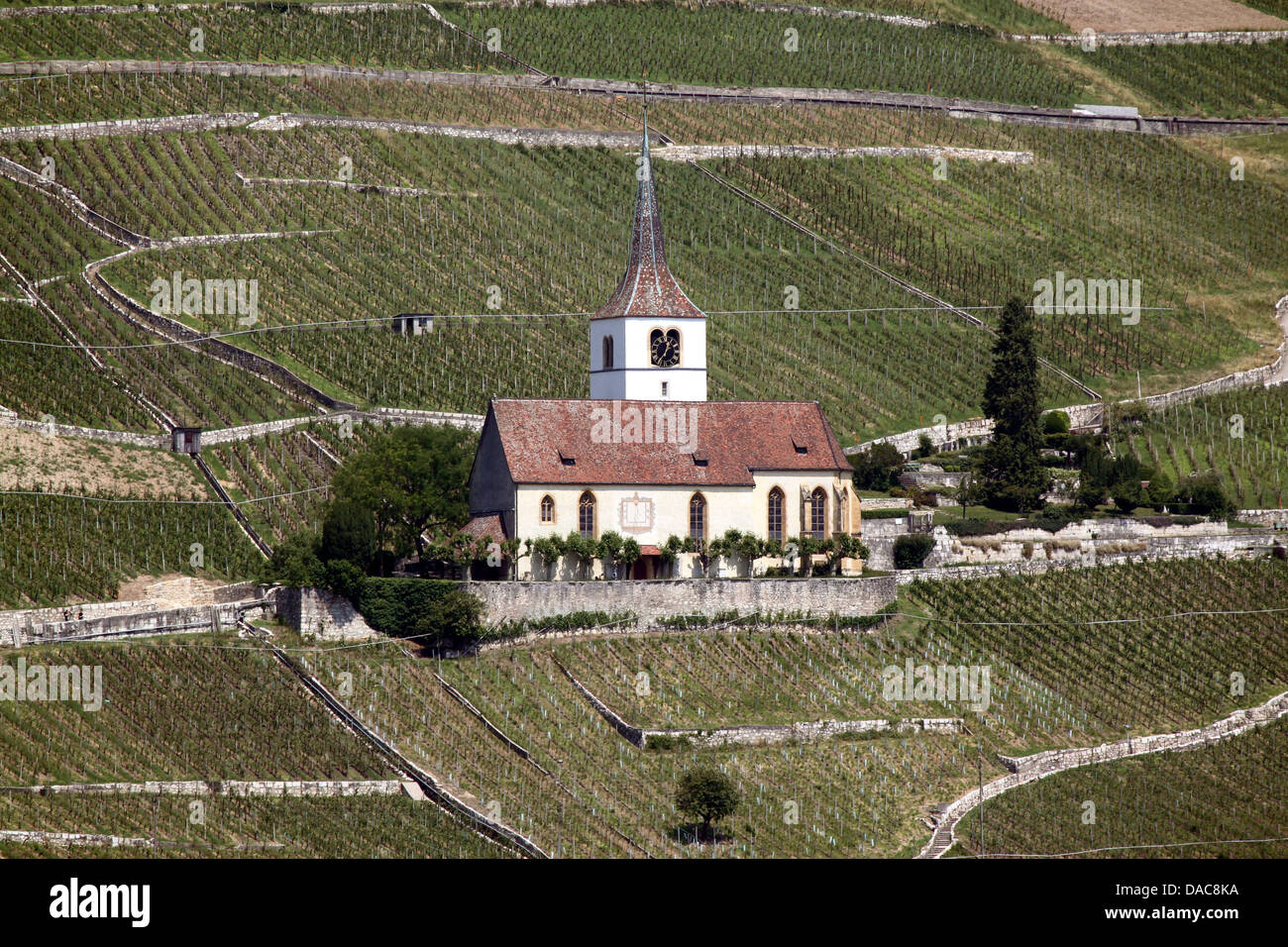 Ligerz High Resolution Stock Photography and Images - Alamy