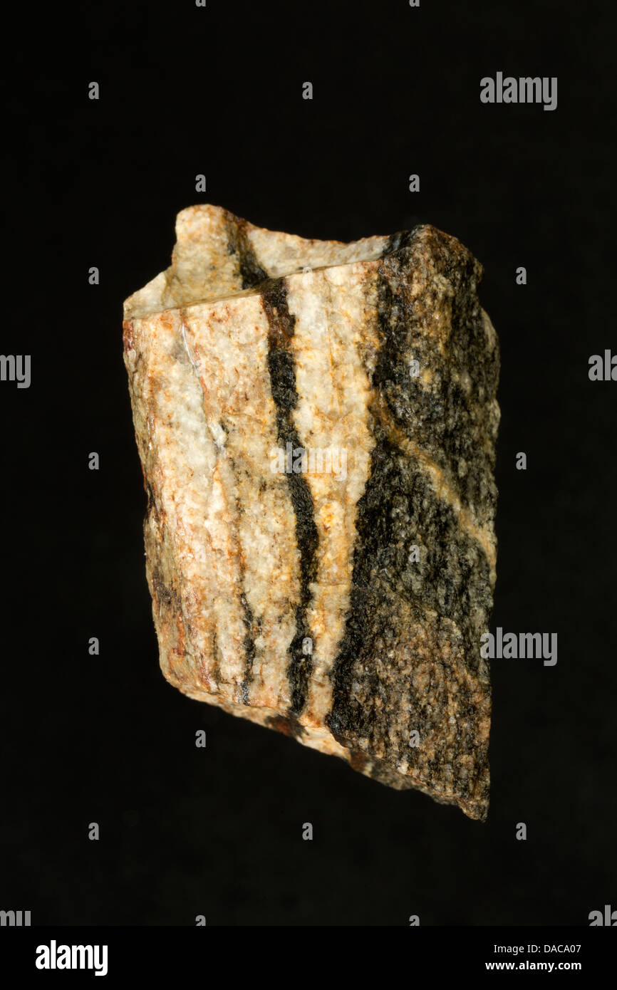 Rock specimen gneiss hi-res stock photography and images - Alamy