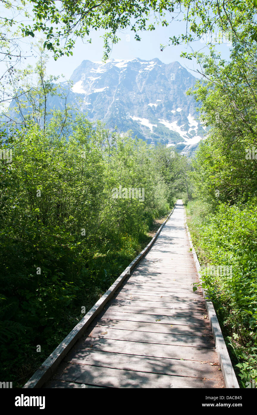 footpath to Cascade mountain range Stock Photo - Alamy
