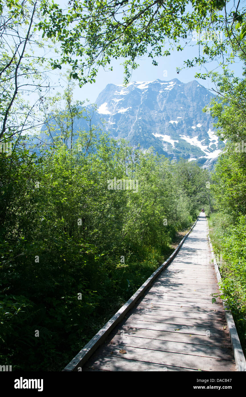 footpath to Cascade mountain range Stock Photo - Alamy
