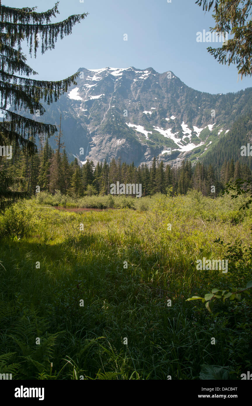 Cascade mountain range Stock Photo - Alamy