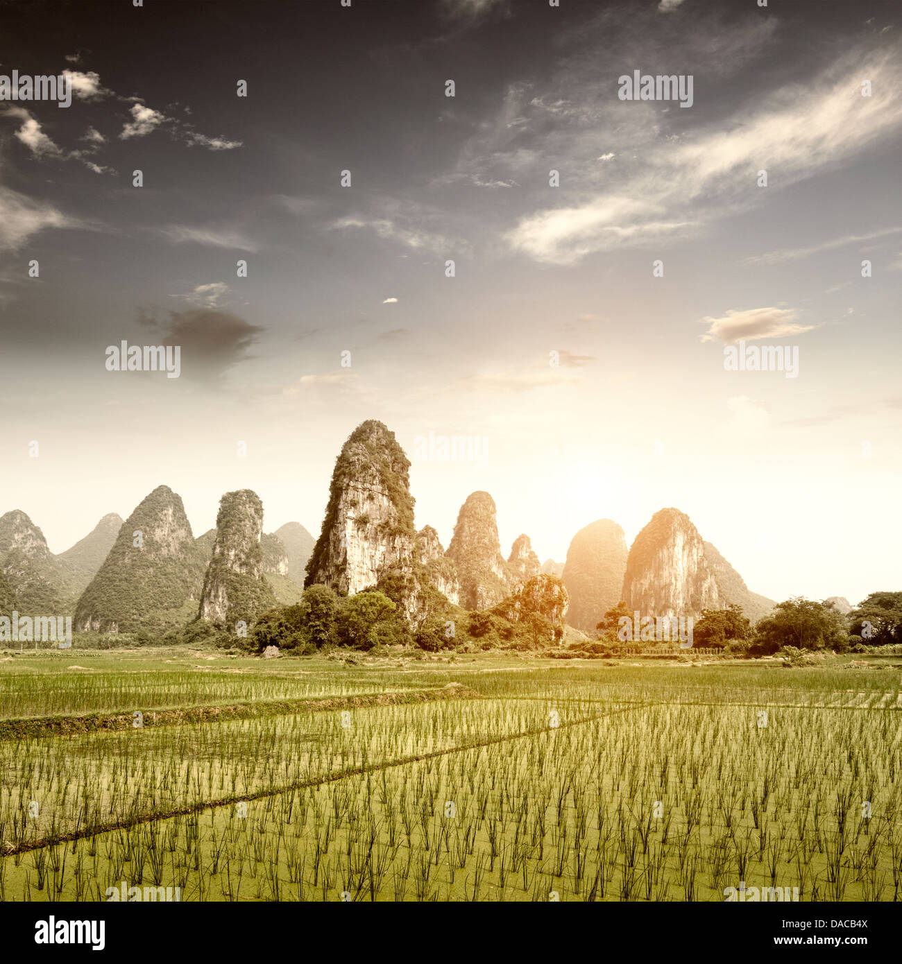 Green agriculture china guilin hi-res stock photography and images - Alamy