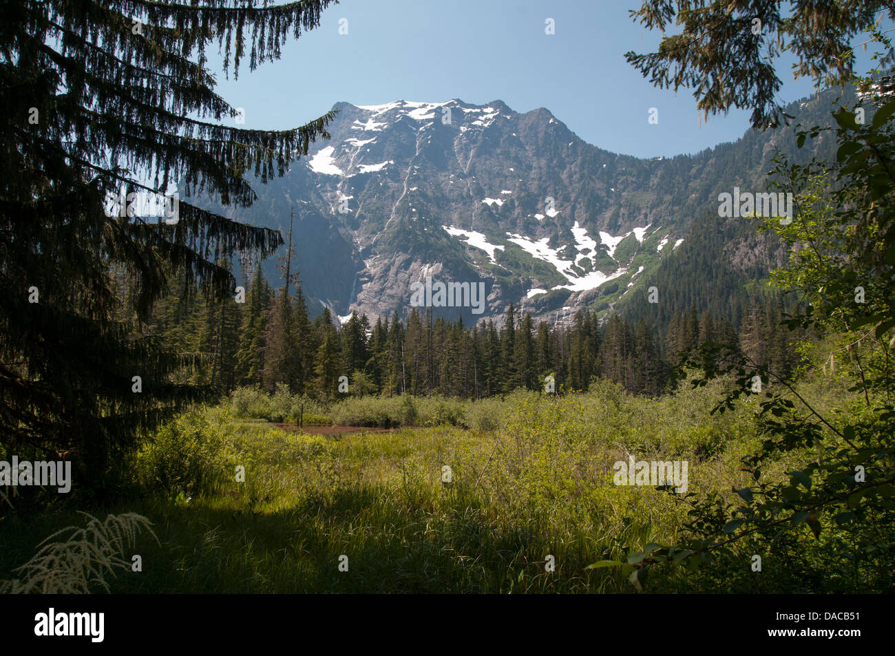 Range of vision hi-res stock photography and images - Alamy