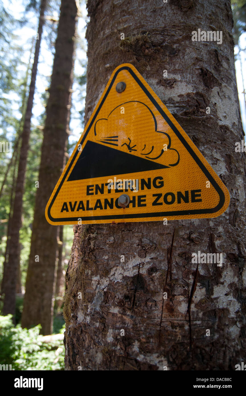 Warning sign on a tree in the Cascade mountain range Stock Photo - Alamy