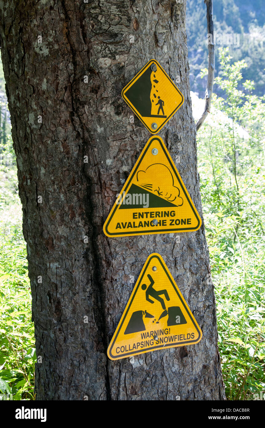Warning signs on a tree in the Cascade mountain range Stock Photo - Alamy