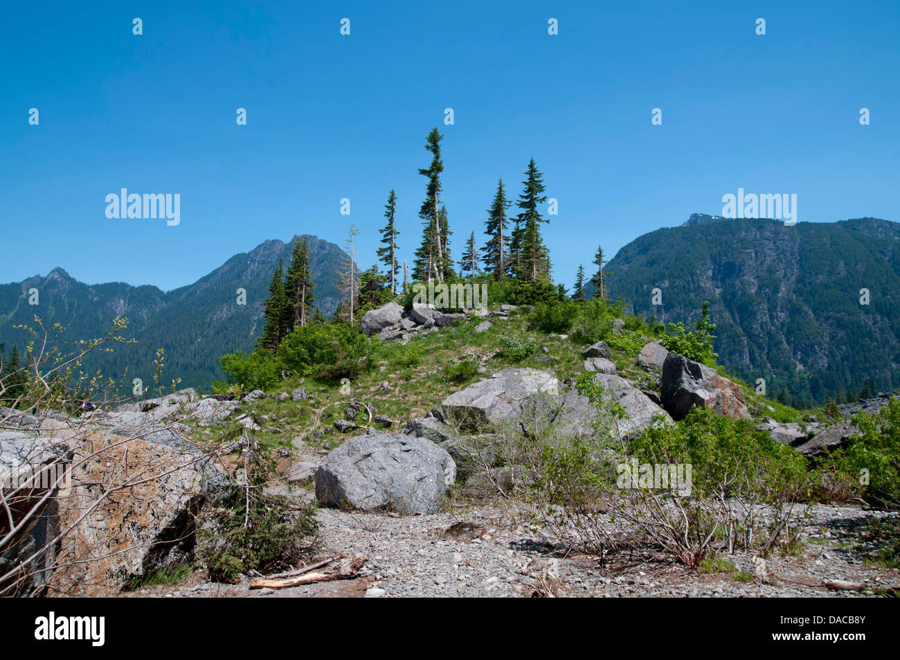 Cascade mountain range Stock Photo - Alamy