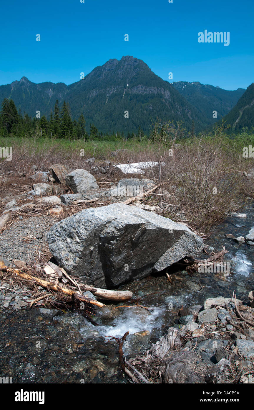 Cascade mountain range Stock Photo - Alamy
