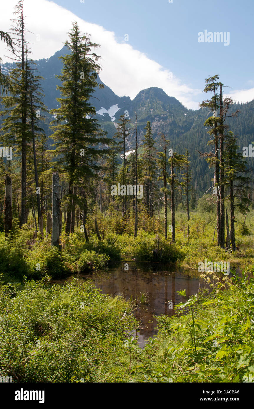 Cascade mountain range Stock Photo - Alamy