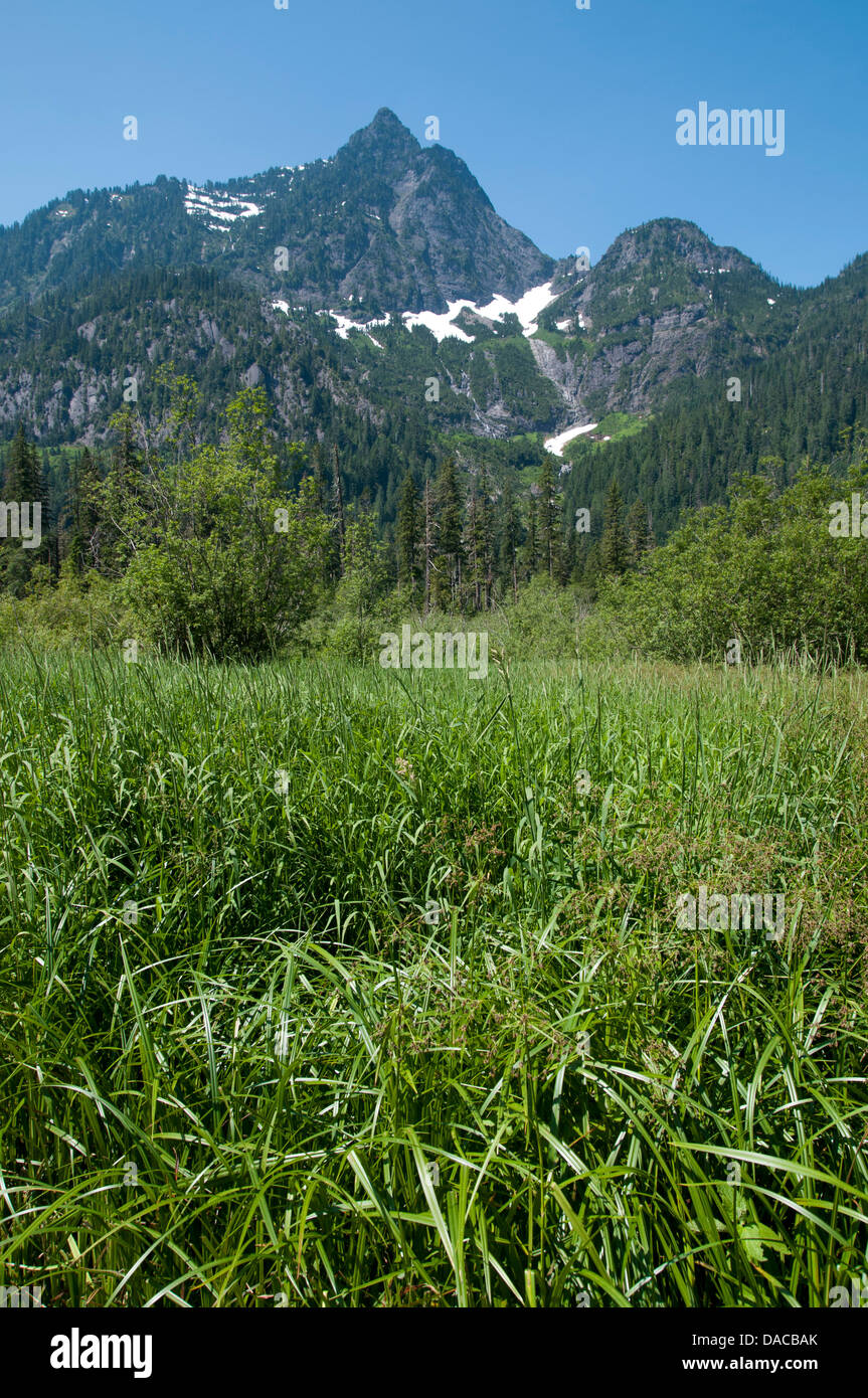 Cascade mountains range, WA USA Stock Photo - Alamy