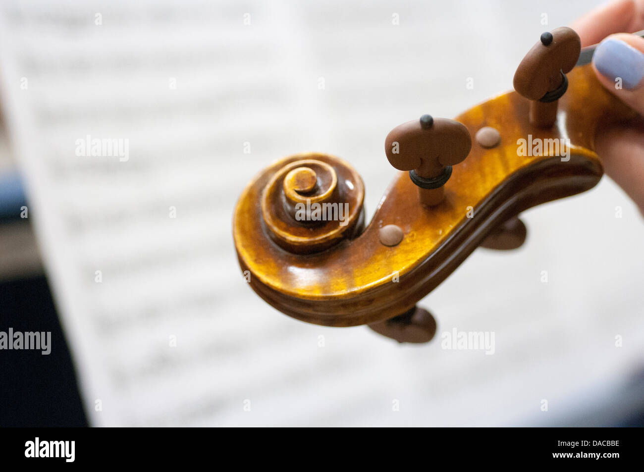 Detail of of violin neck Stock Photo - Alamy