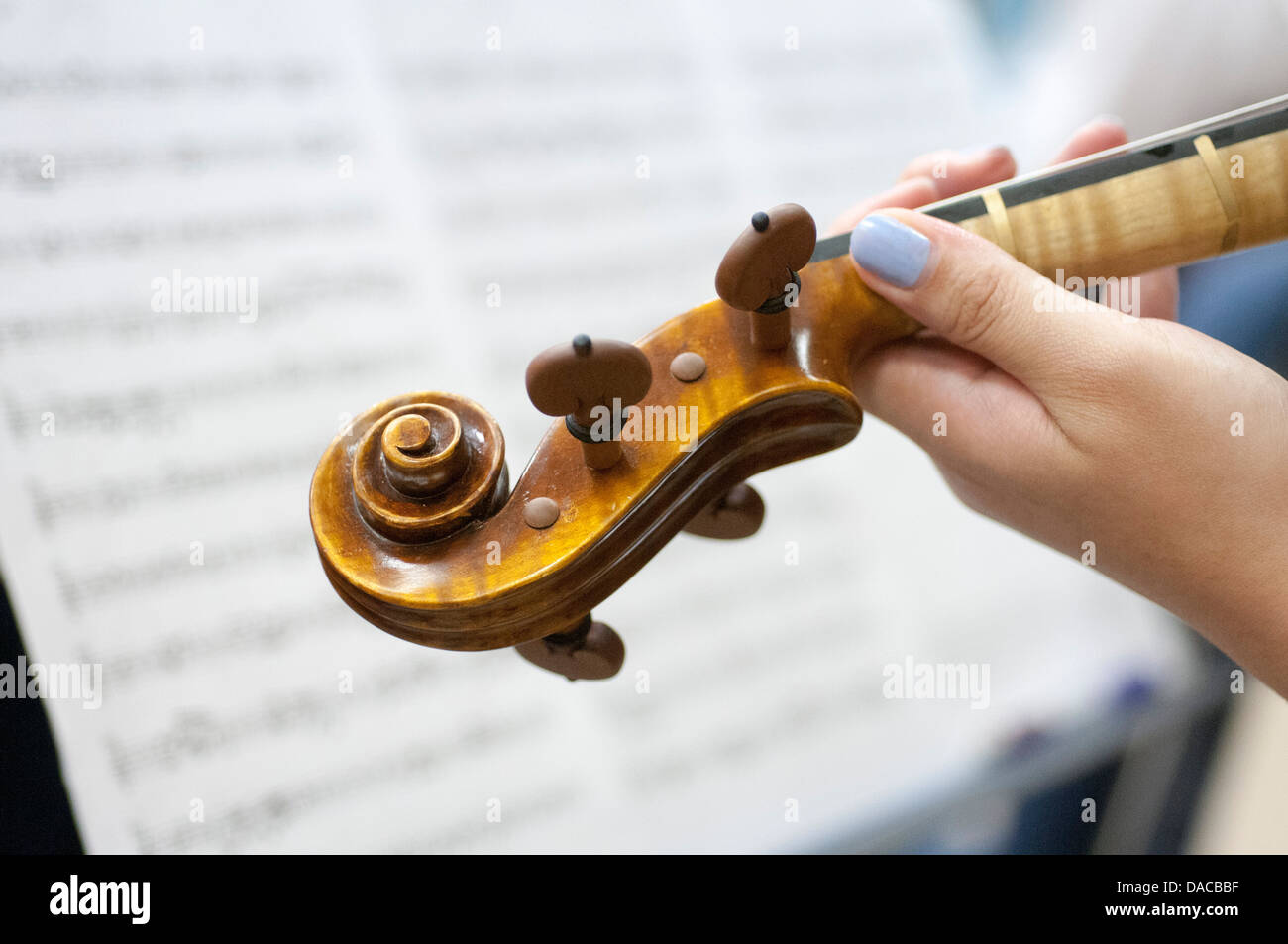 Detail of of violin neck Stock Photo - Alamy