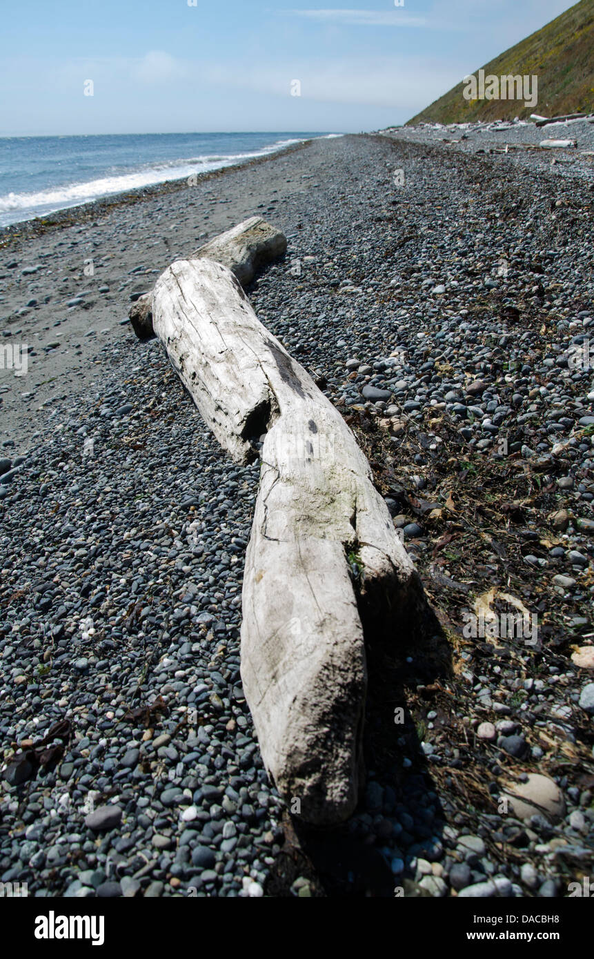 Driftwood on a beach Stock Photo - Alamy