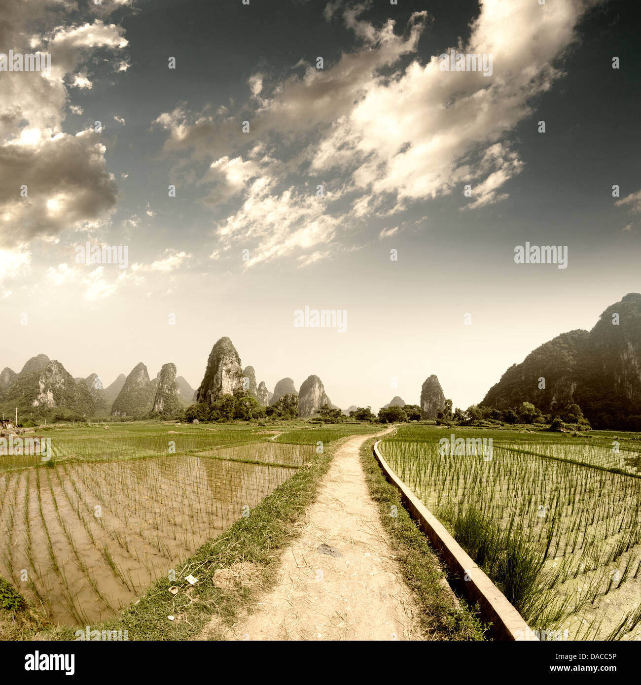 China agriculture hi-res stock photography and images - Alamy