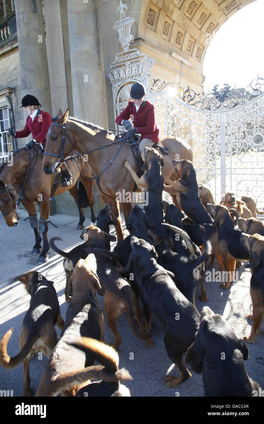 Bloodhound scent hi-res stock photography and images - Alamy