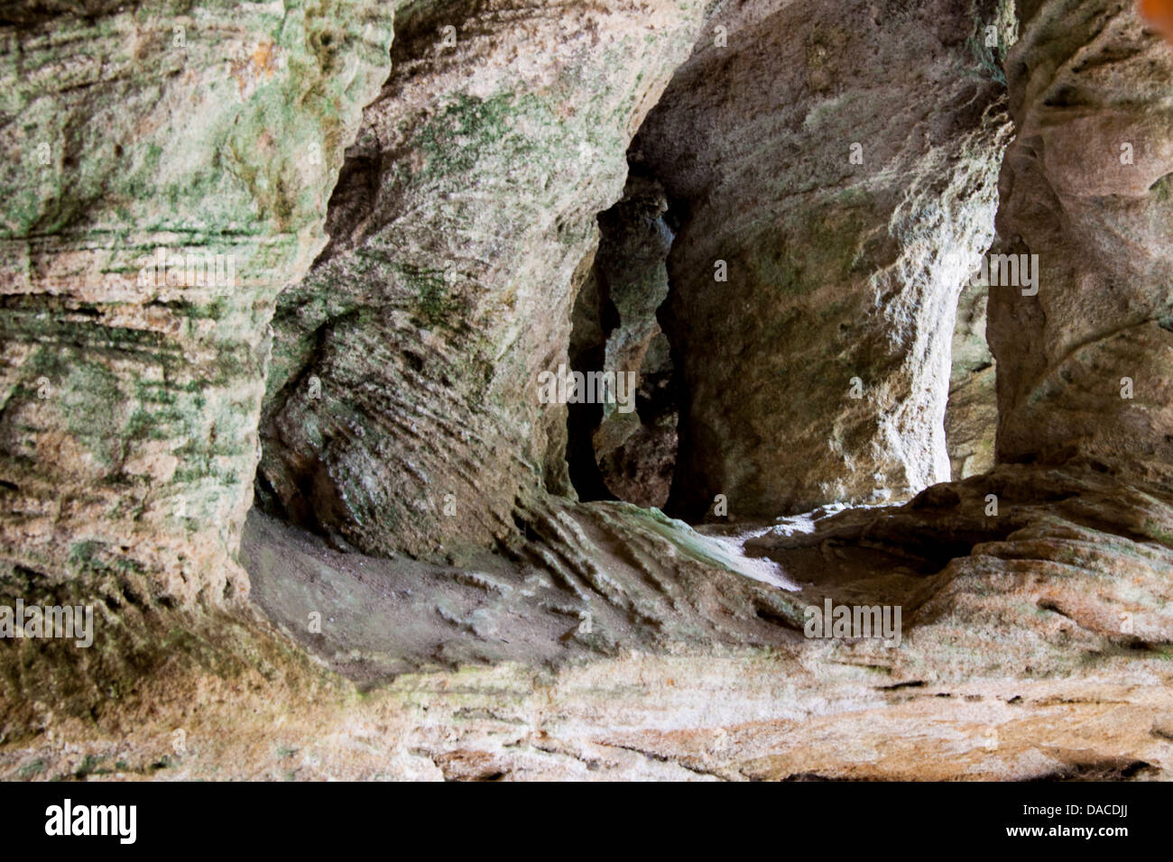 Mechowo hi-res stock photography and images - Alamy