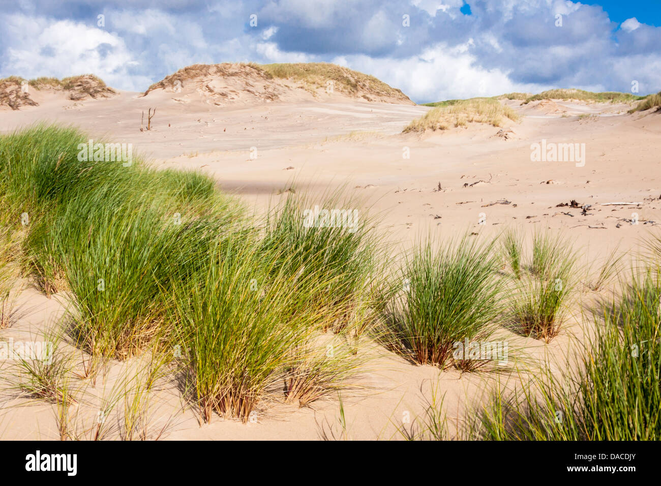 Poland, Leba - Dunes National Park. Beauty place on Baltic sea Stock ...
