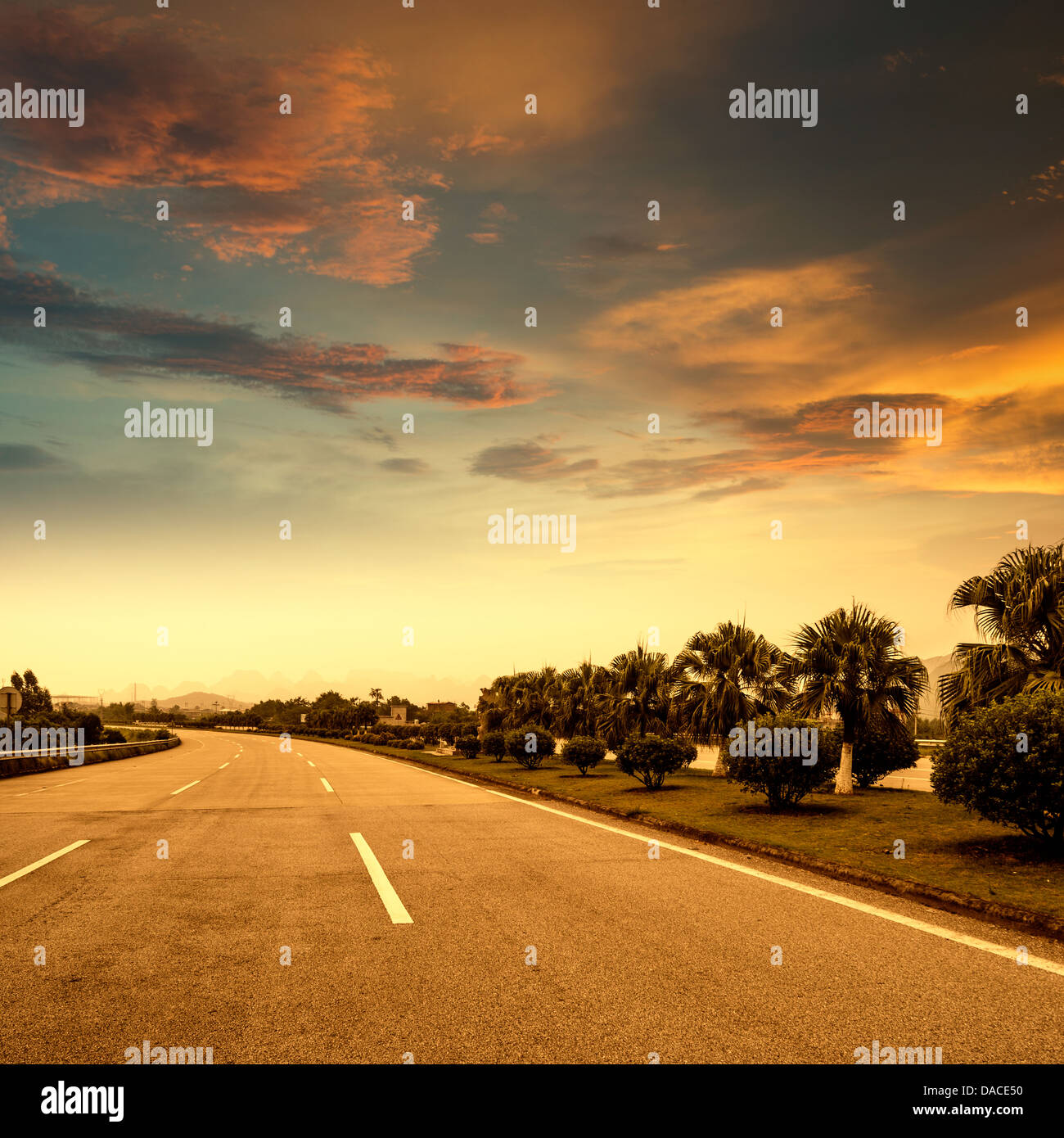 the road in forest Stock Photo - Alamy