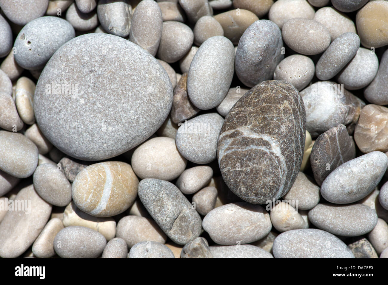 Beach Pebbles Close Up Stock Photo - Alamy