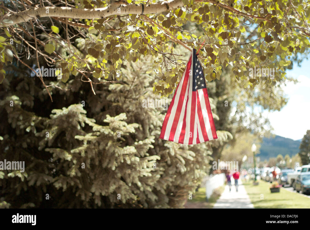 United States flag dangling from a tree branch Stock Photo - Alamy