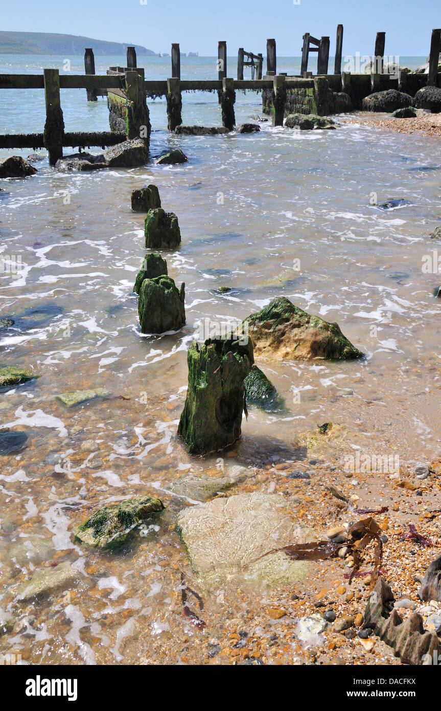 Wooden pilings on the Solent, Hampshire, England Stock Photo - Alamy
