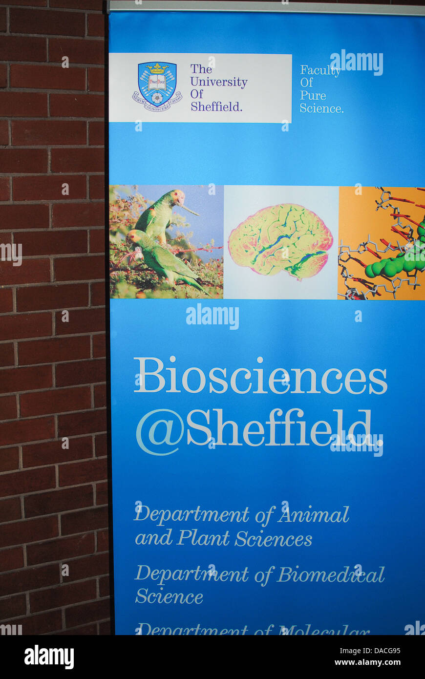 Sheffield University poster for Biosciences Stock Photo - Alamy