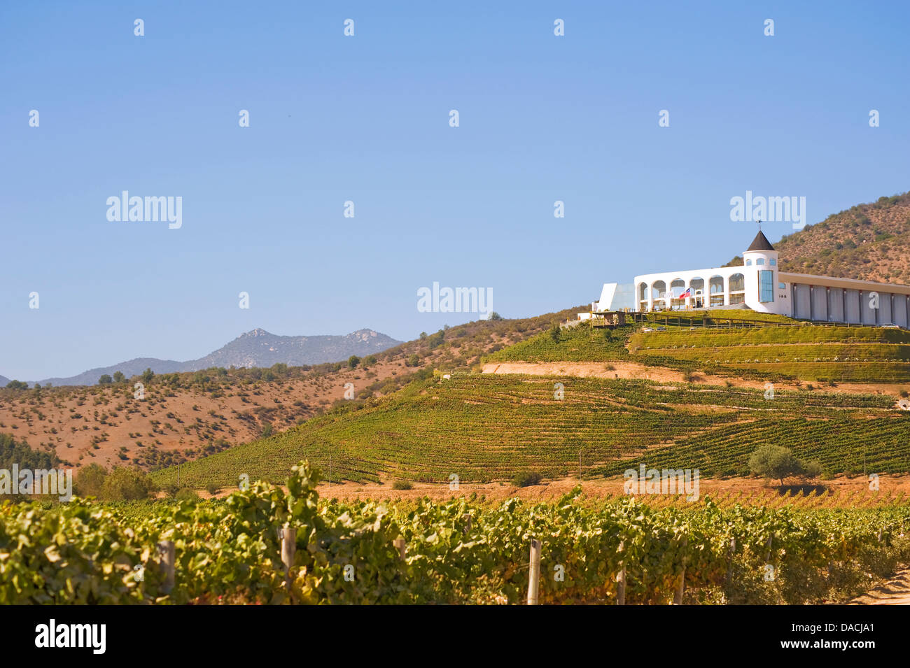 Indomita vineyard hi-res stock photography and images - Alamy