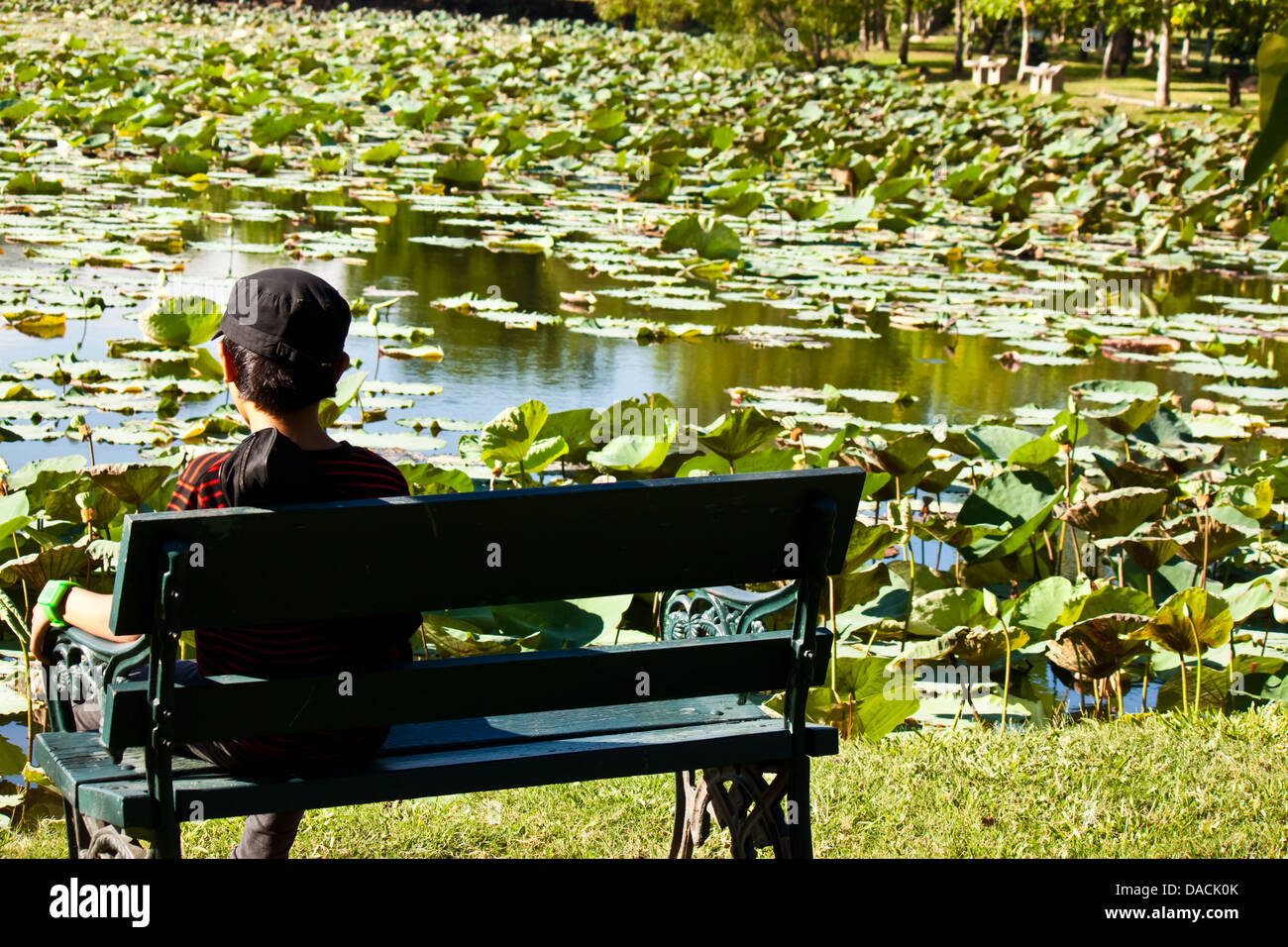 child seat on bench Stock Photo - Alamy