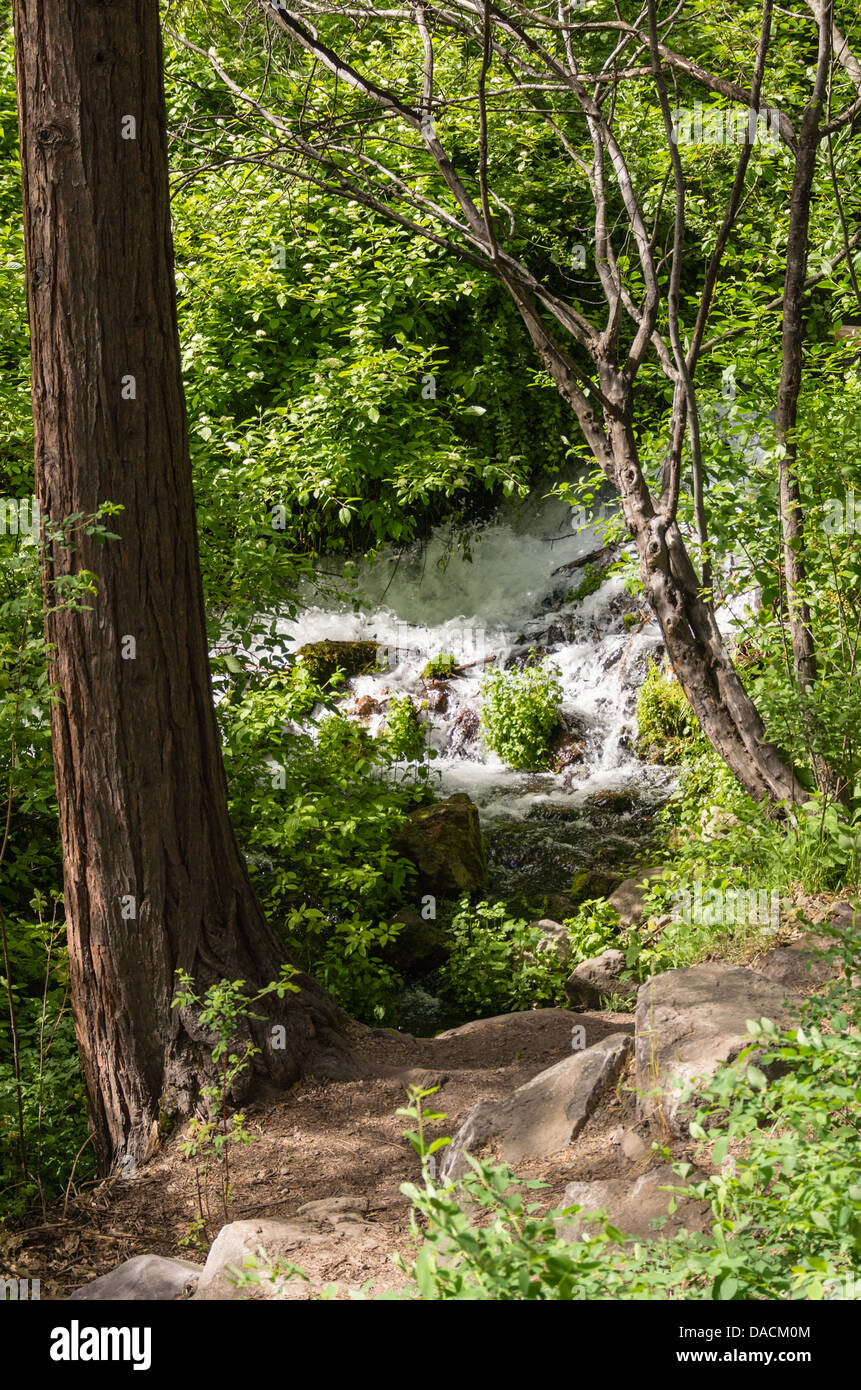 Mount Shasta California United States. The headwaters of the Sacramento ...