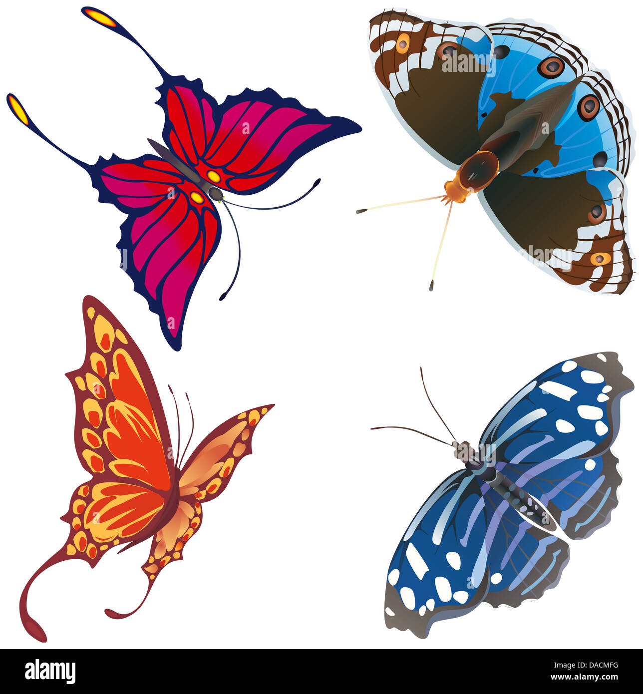 Exotic butterflies abstract Stock Photo - Alamy