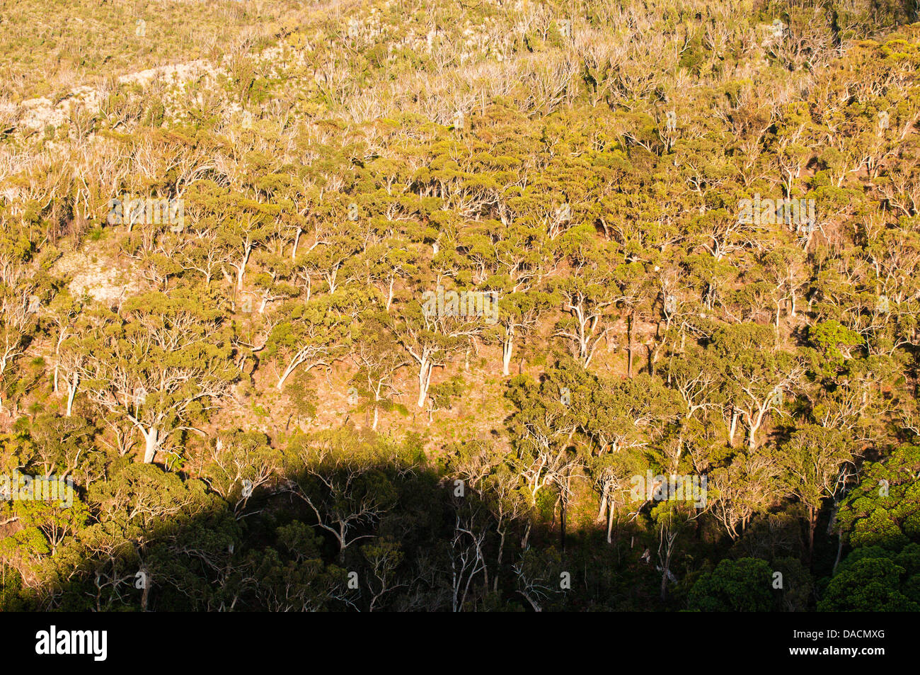 Mt. Tempest, Moreton Island, Queensland, Australia Stock Photo - Alamy