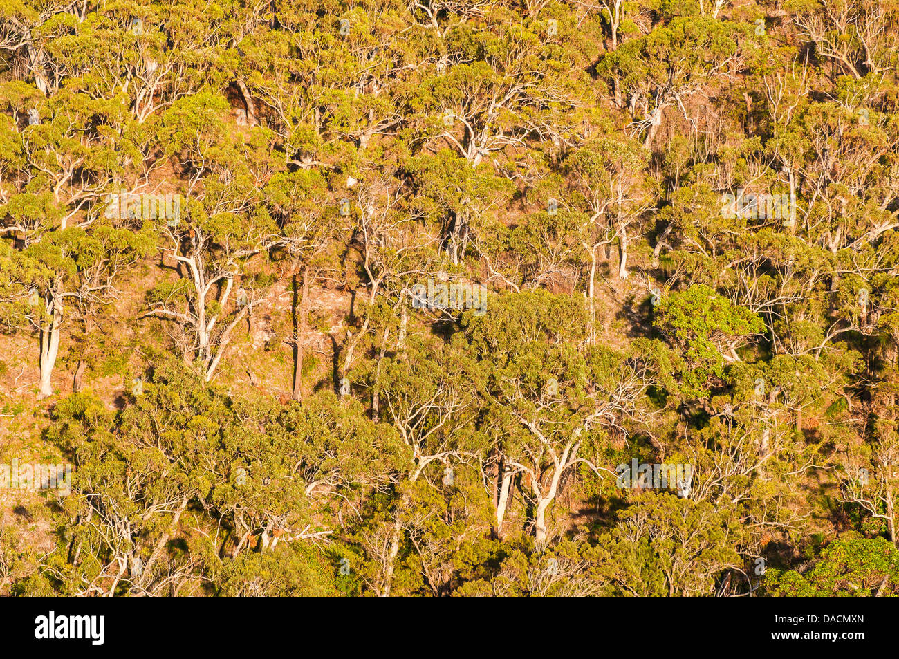 Mt tempest hi-res stock photography and images - Alamy