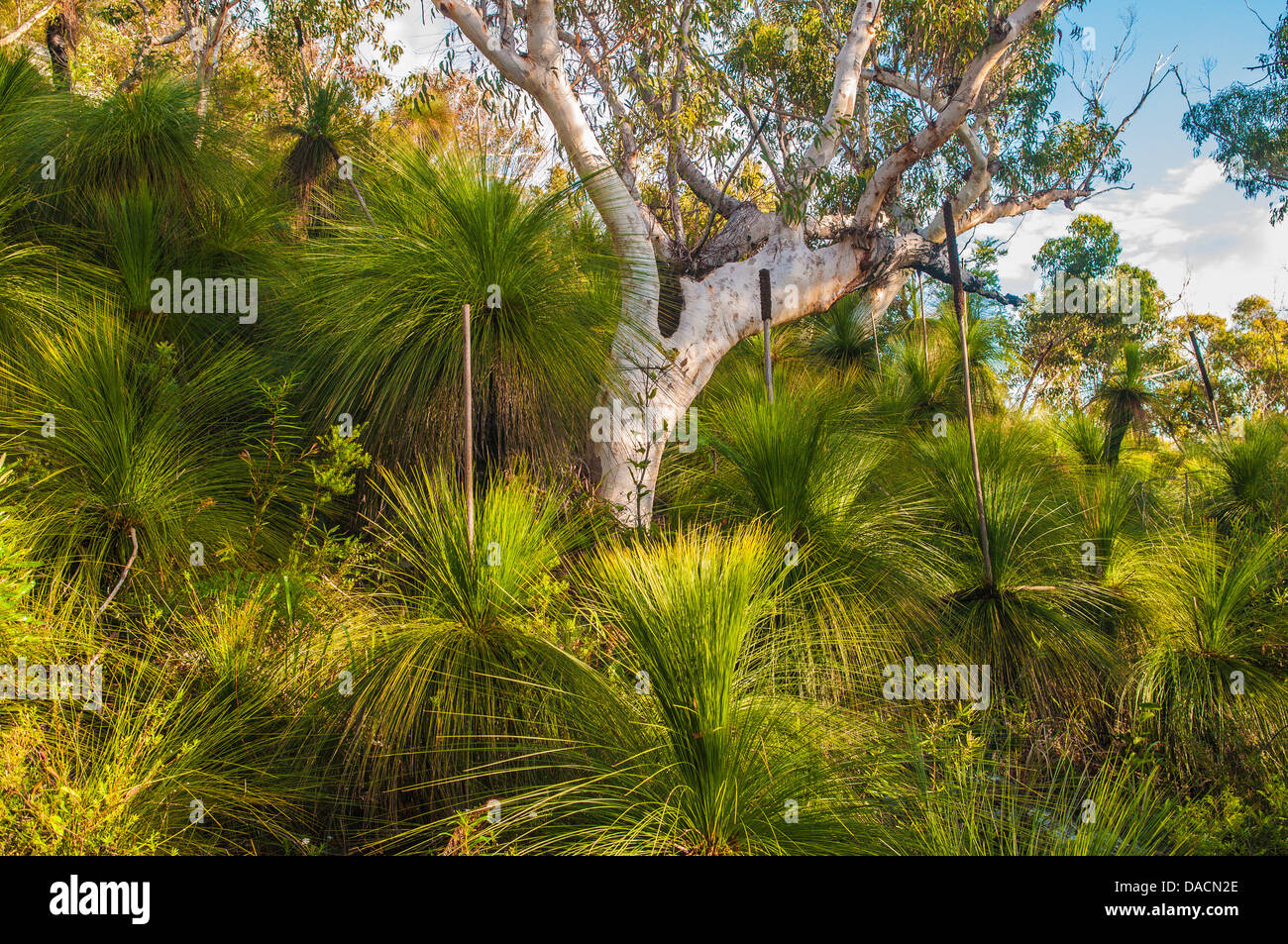 Mt. Tempest, Moreton Island, Queensland, Australia Stock Photo - Alamy