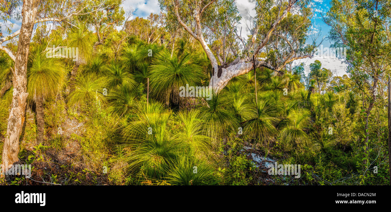 Mt. Tempest, Moreton Island, Queensland, Australia Stock Photo - Alamy
