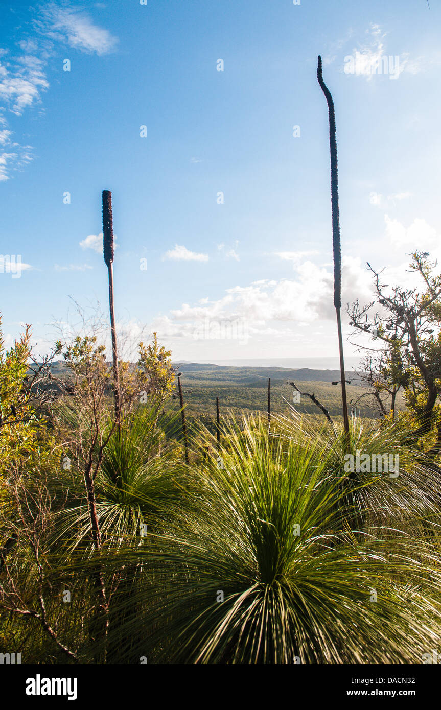 Mt. Tempest, Moreton Island, Queensland, Australia Stock Photo - Alamy